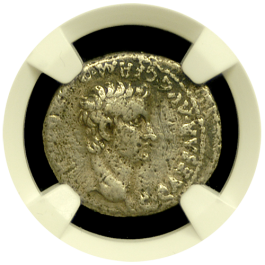 Caligula Silver Denarius NGC Fine 37-41 AD | Austin Coins