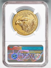 American Eagle Gold Coin | Gold Eagle Coin | Austin Coins